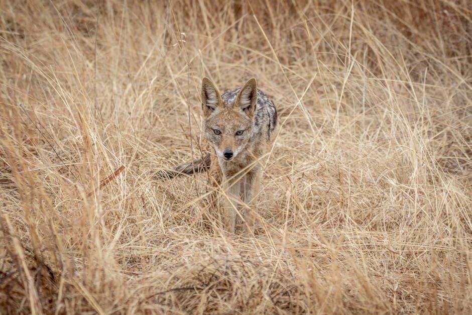 Cataclysm Hunter Leveling Guide: Fast & Easy 1-85